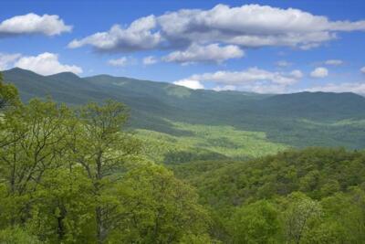 Jackson Ridge - Jackson Ridge